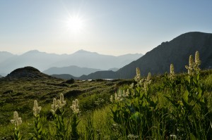 More Nikon Df Sample Images - Camera News at Cameraegg