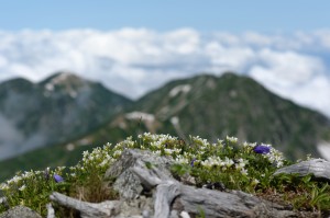 More Nikon Df Sample Images - Camera News at Cameraegg